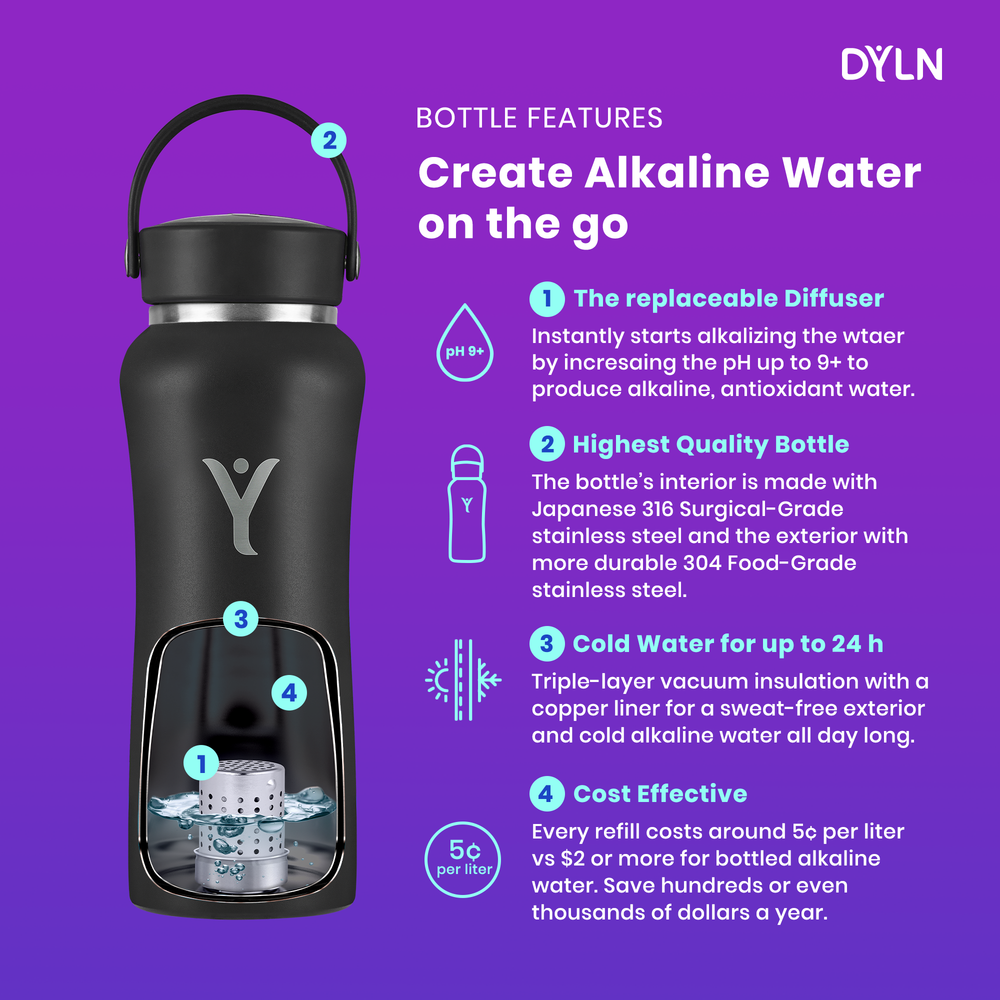 Shop 25 oz DYLN Insulated Alkaline Water Bottle - dyln.co