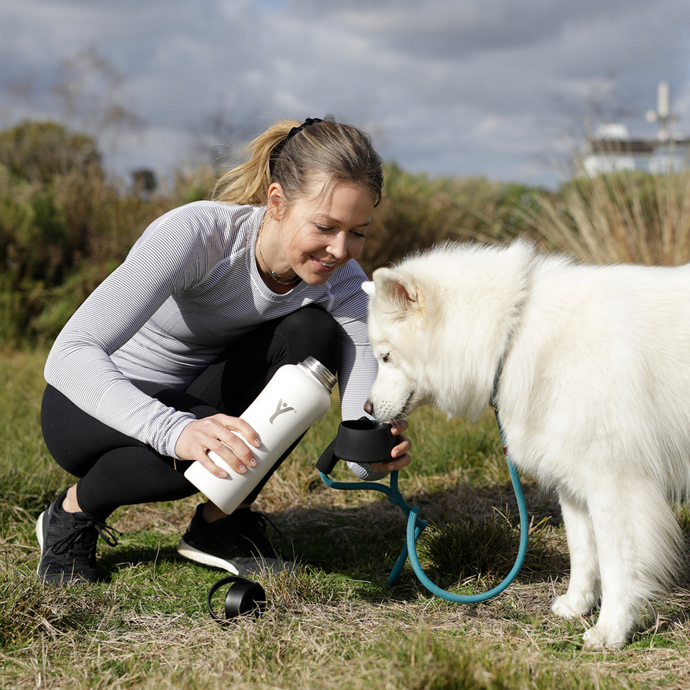 Shop Large Silicone Bottom Guard - dyln.co – DYLN